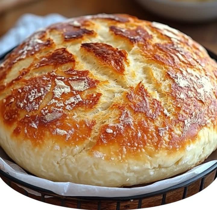 No Knead Artisan Bread Cyssero