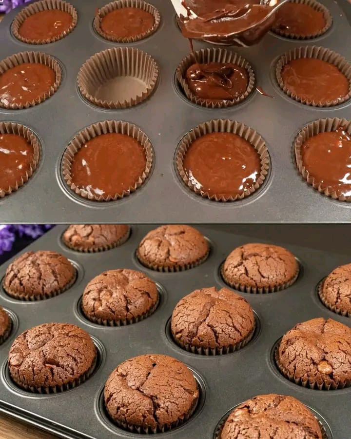 Fudgy Chocolate Muffins - CYSSERO